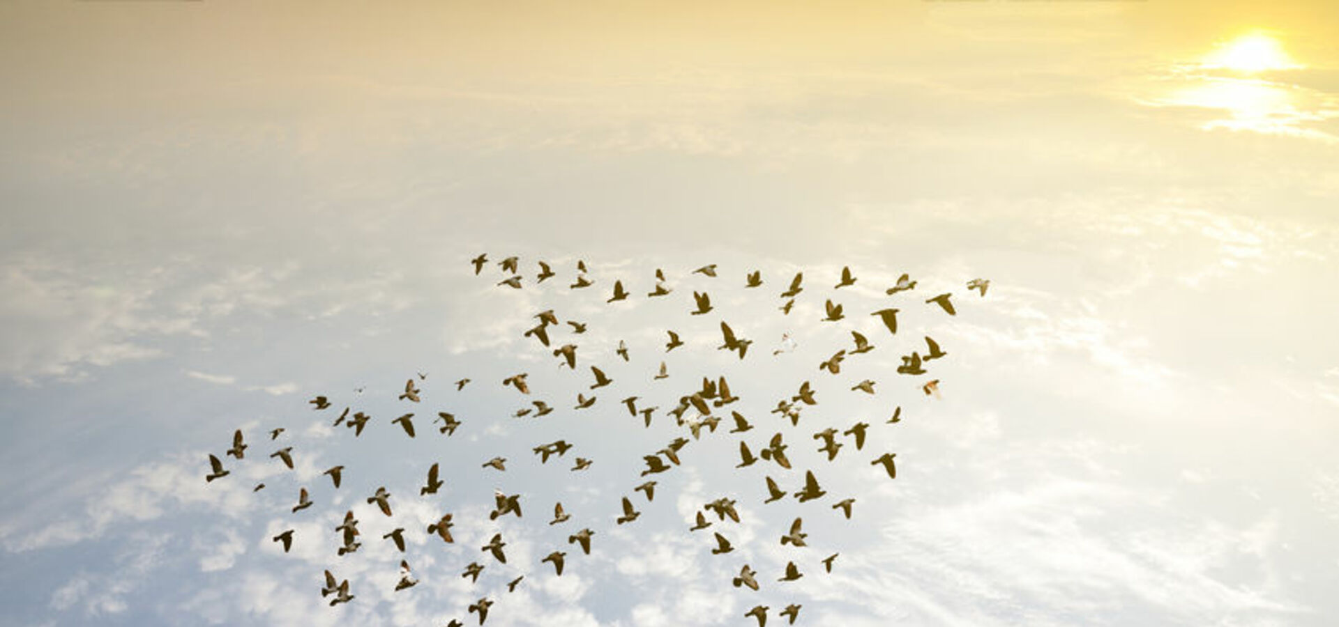 Growth Development NZ | Workplace Culture & Workforce Performance