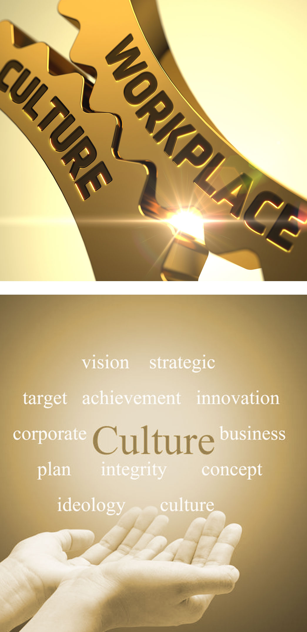 Growth Development NZ | Workplace Culture & Workforce Performance